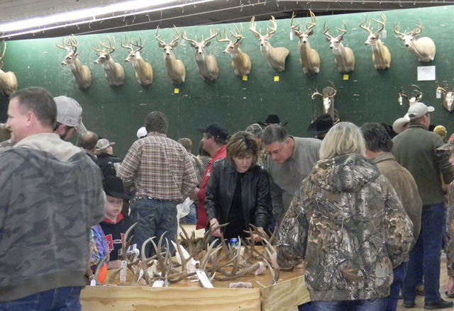 Big Buck hunting contest set for late January | The Victoria Advocate