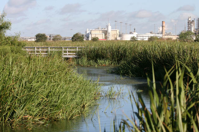 Invista advances projects for additional N2O reductions at Victoria ...