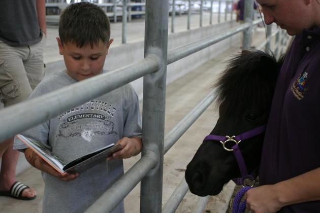 Literacy program uses horses to help students learn to read | The ...