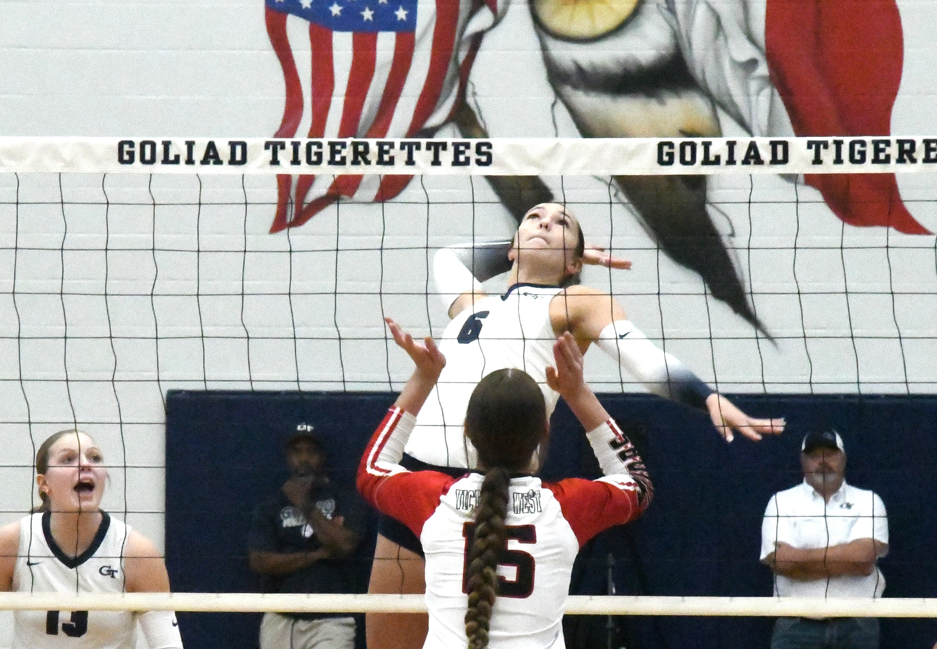 Tigerettes look to add to 16-game win streak this week | The Victoria ...