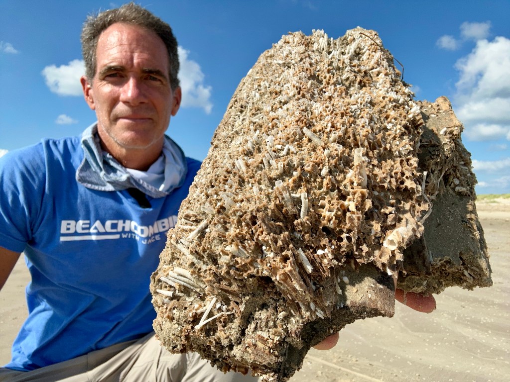 Beachcombing Report: Shipworms | The Victoria Advocate